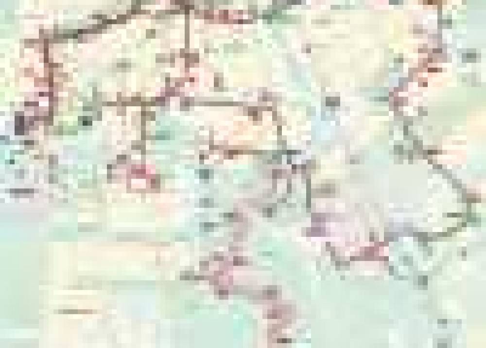 TCS Amsterdam Marathon – TCS Amsterdam Marathon - NL